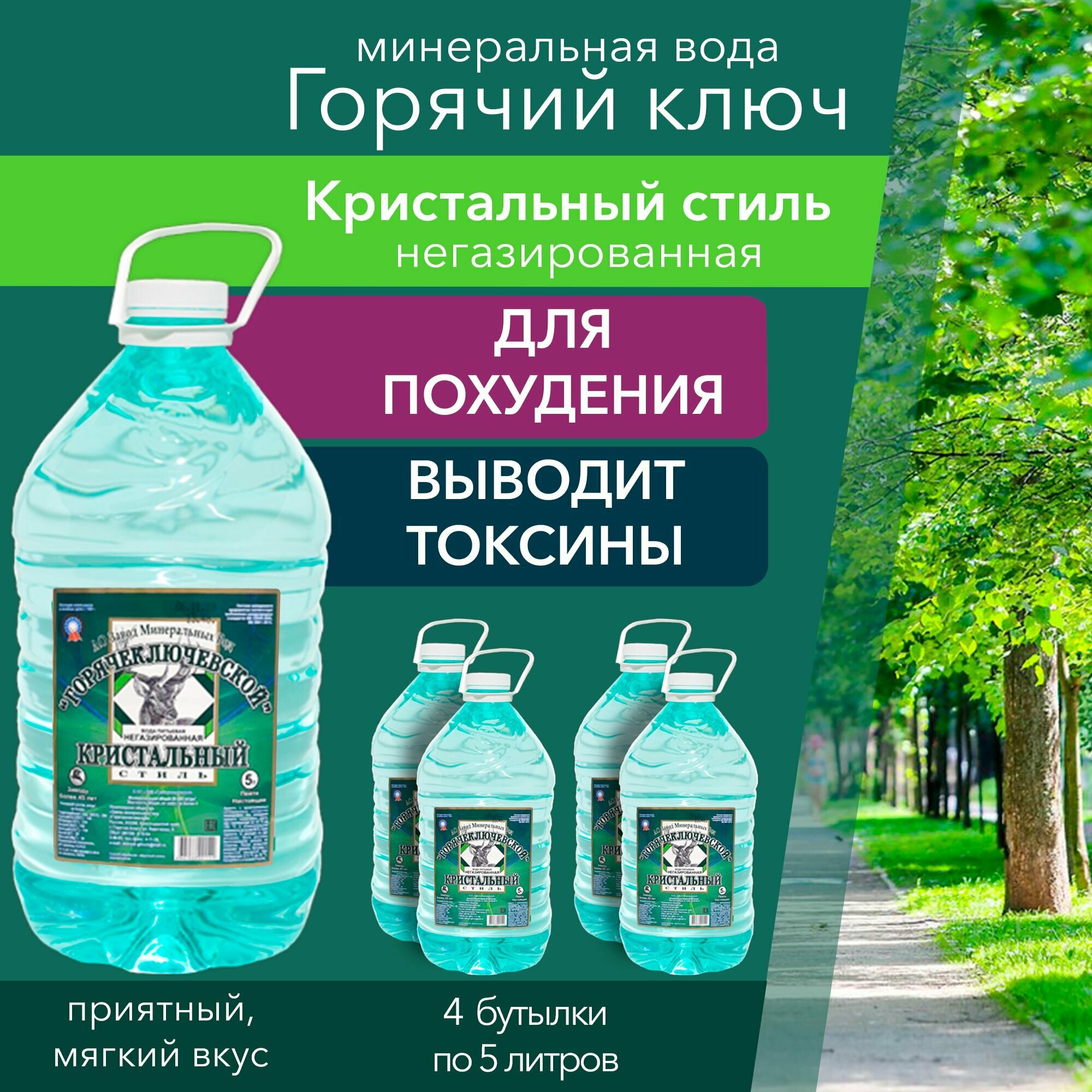 Вода Горячий Ключ Кристальный стиль. Объем 5л*4. Вода минеральная негазированная природная лечебная, выводит токсины,
