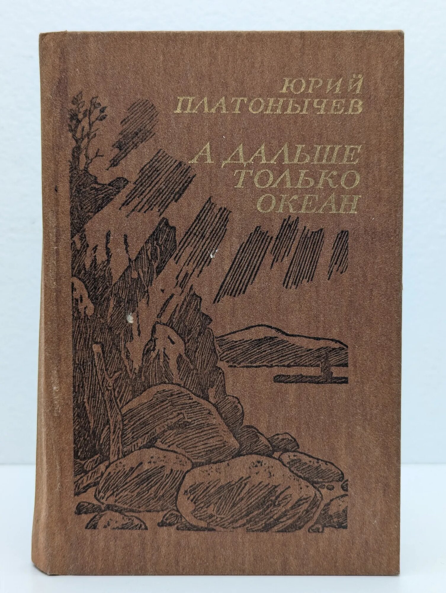А дальше только океан Платонычев Юрий Федорович 1985