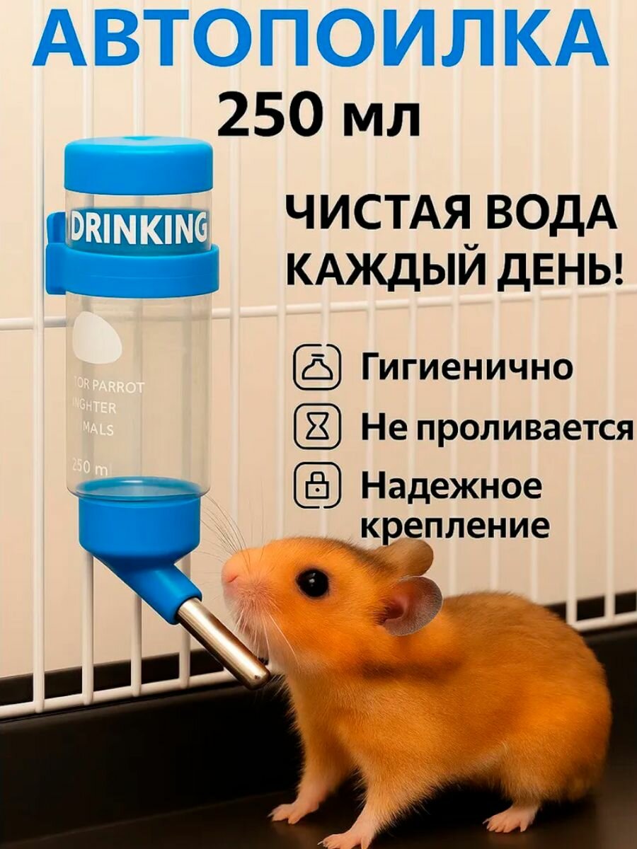 Поилка 250 мл, автопоилка для грызунов, крыс, мышей, хомяков, шиншилл, с креплением для клетки, голубая