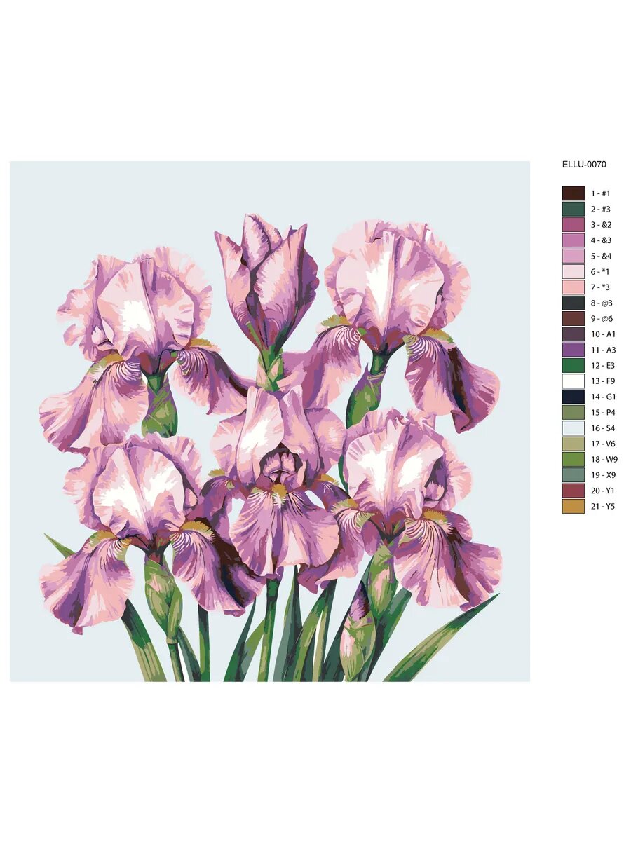 Картина по номерам, 40 x 40, ELLU-0070, цветы ирисы