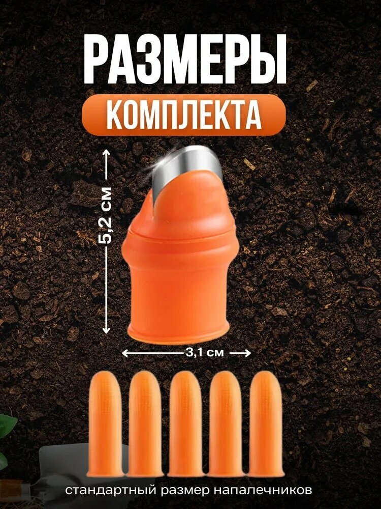 Плодосборникх15х33см