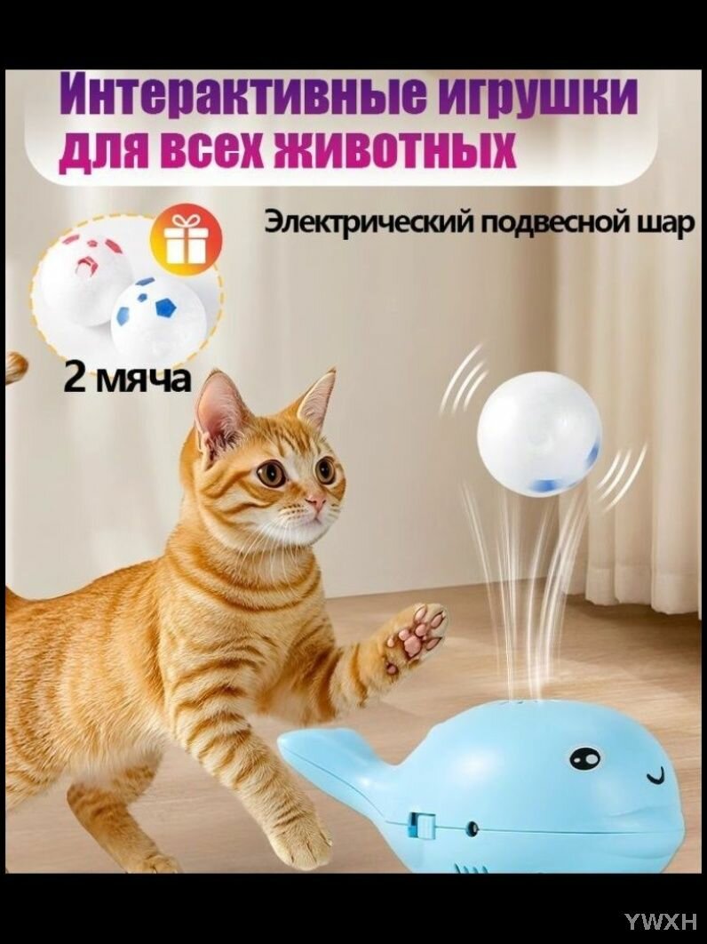 1 кусок , игрушки для кошек, для собак, мяч для собак