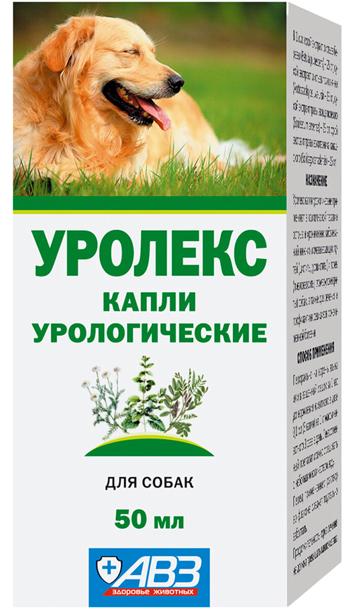 Уролекс капли урологические для собак средних и крупных пород для лечения и профилактики заболеваний мочевыводящих путей и почек (50 мл)