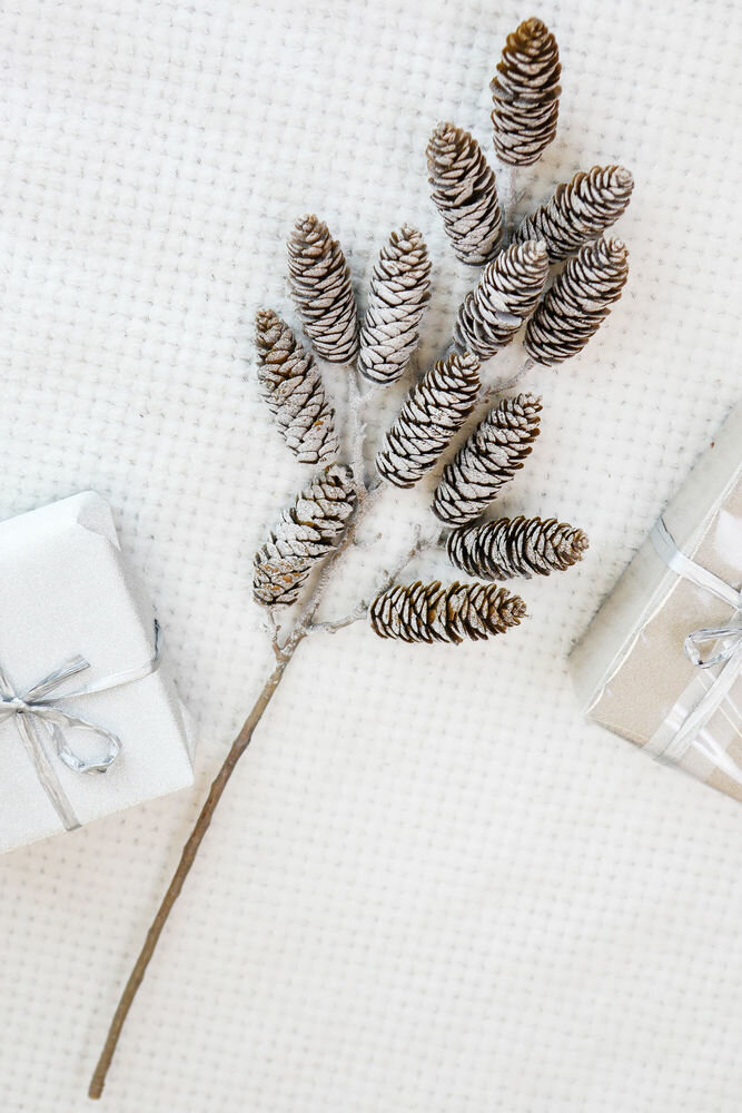 Декоративная ветка шишки 'нувель', натуральные шишки, пластик, 60 см, EDG 2300358A170