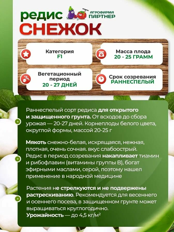 Семена редиса Снежок — фото 1