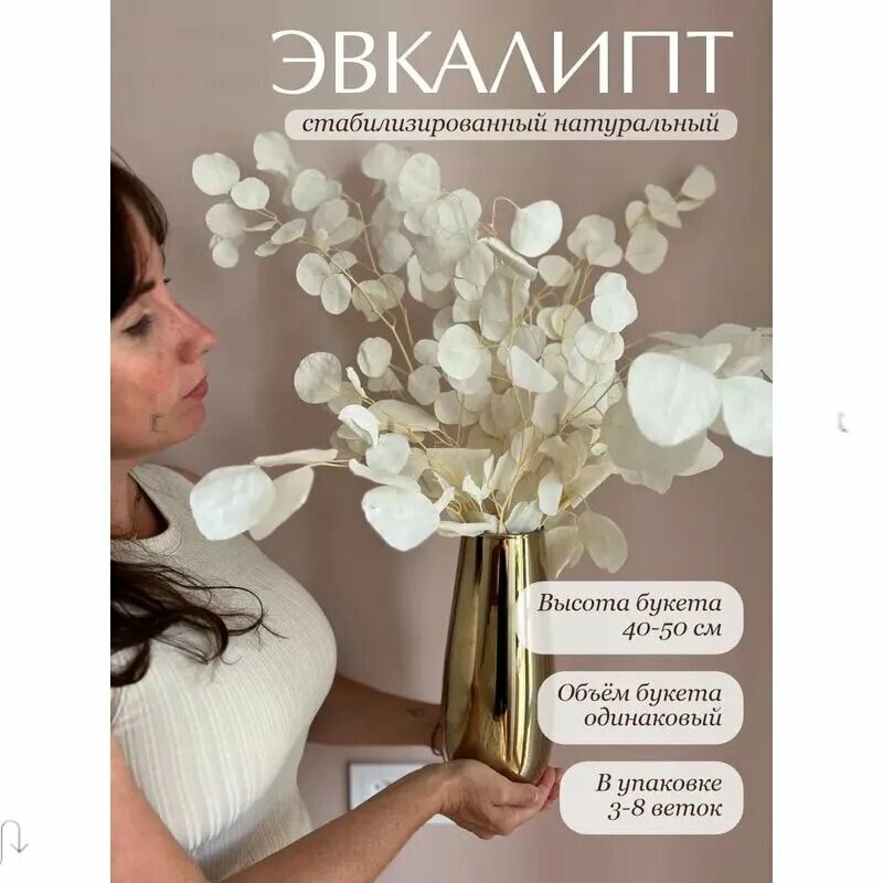 Стабилизированные цветы Эвкалипт, 52 см, 200 гр