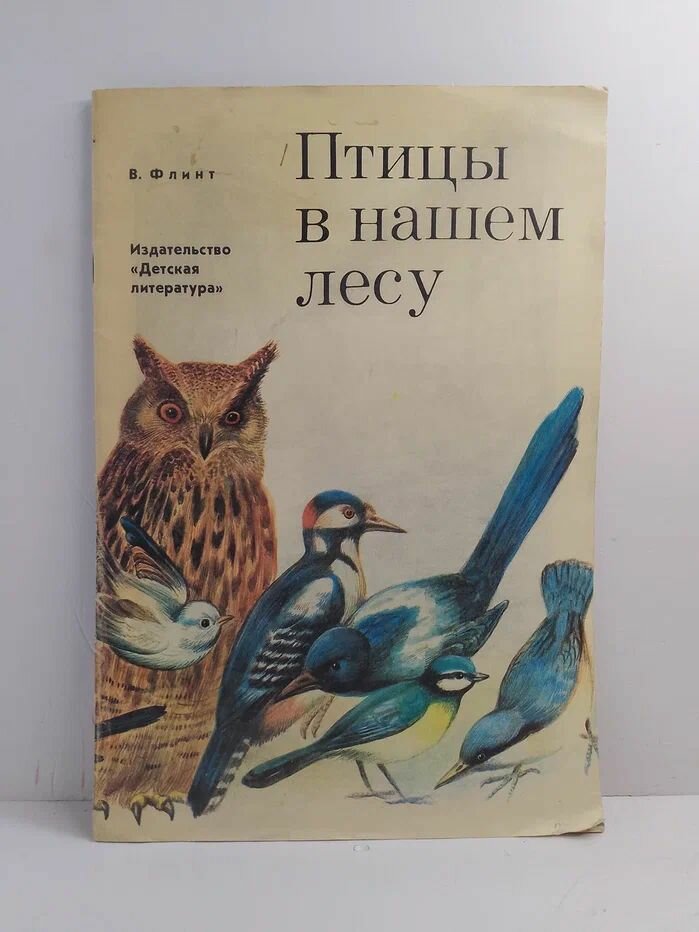 Птицы в нашем лесу.