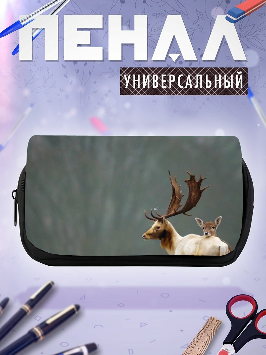 Школьный пенал олень лось