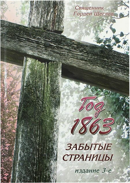 Год 1863. Забытые страницы