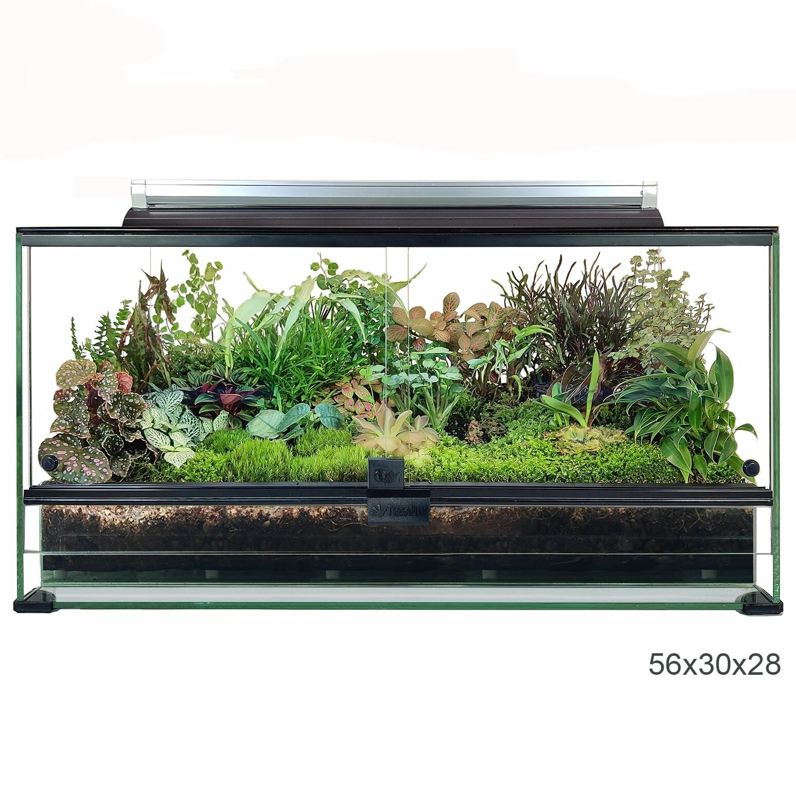 Террариум для рептилий, геккона эублефара, змеи, ящерицы, из стекла (Д56*Ш30*В28)