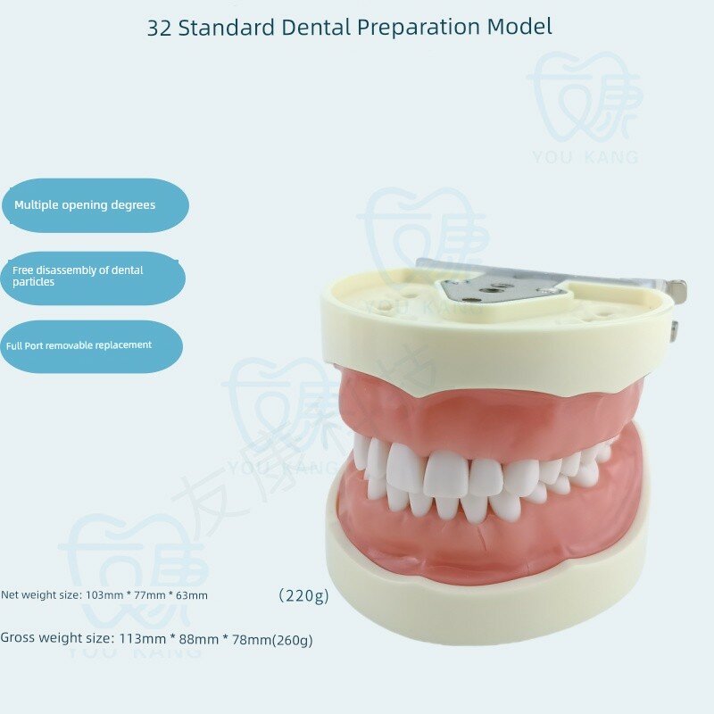 Модель зуба для практики экзаменов по оральной хирургии: имитация удаления пульпы корневого канала, подготовка зуба для