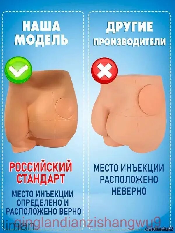 Анатомическая модель — фото 1