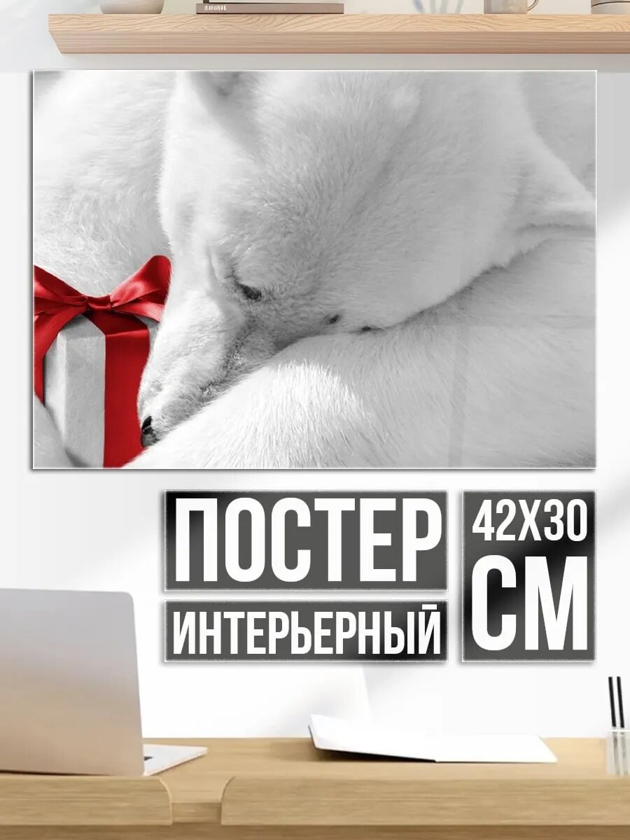 Плакат постер Белый медведь подарок