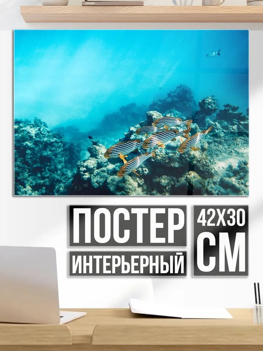 Плакат постер рыбы в коралловом рифе