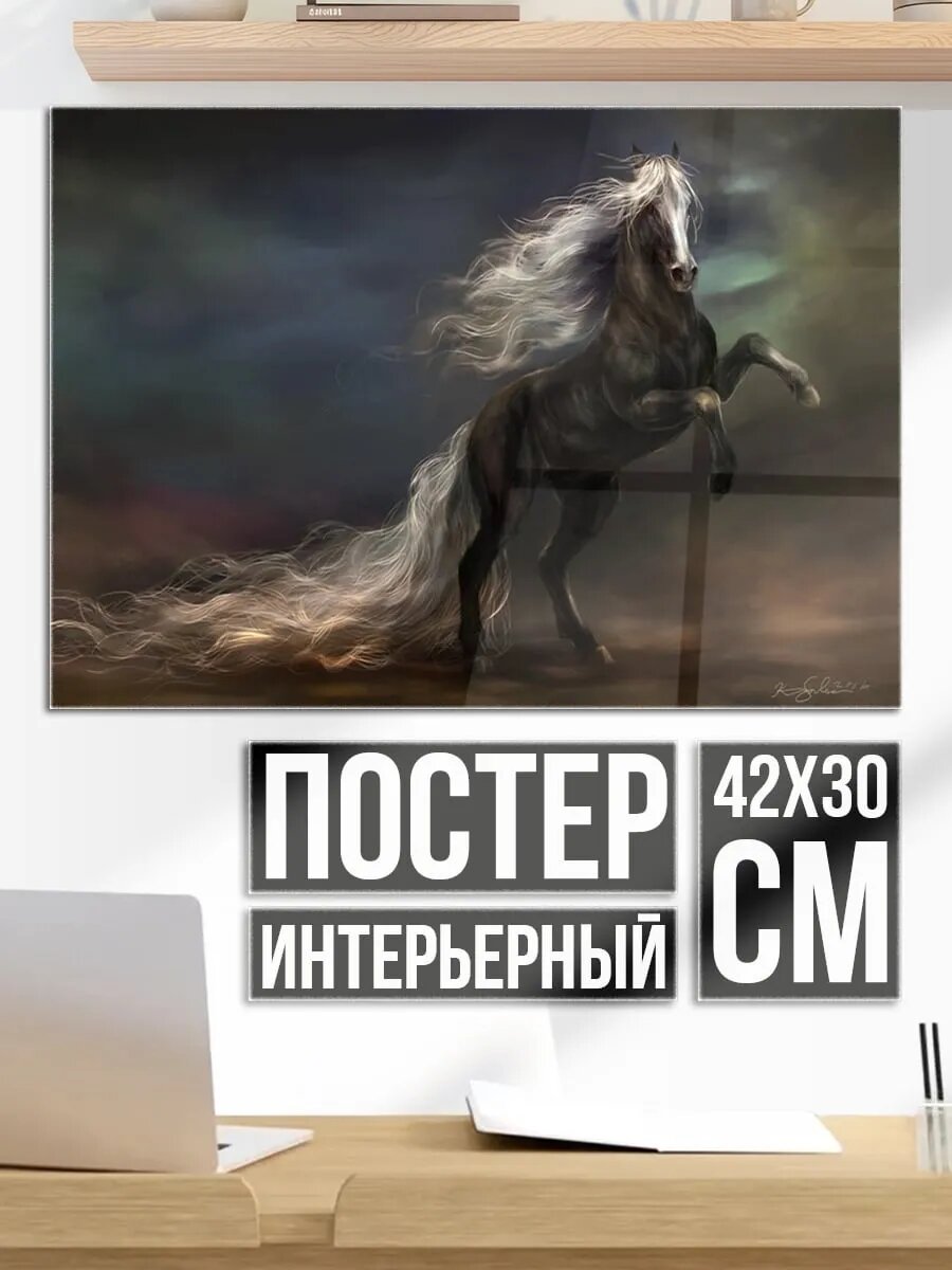 Плакат постер черный конь