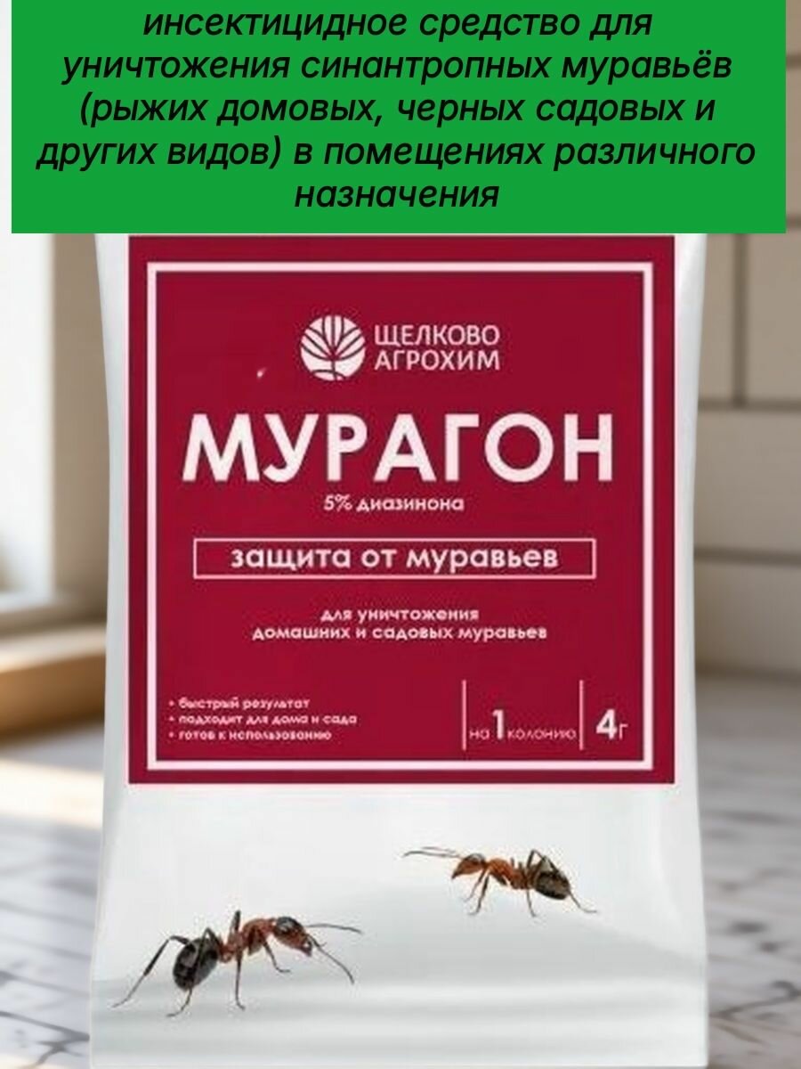 Защита от муравьев