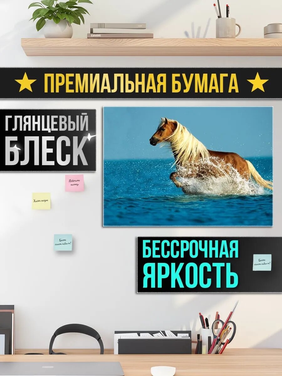 Плакат постер конь в воде — фото 1
