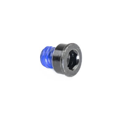 Винт кассеты E Thirteen Cassette Lock Screw M4 (FWS20-113)