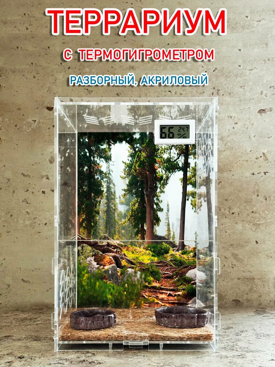 Вертикальный террариум "Лес" акриловый 9,8 л, с термогигрометром, для рептилий, богомолов, пауков.