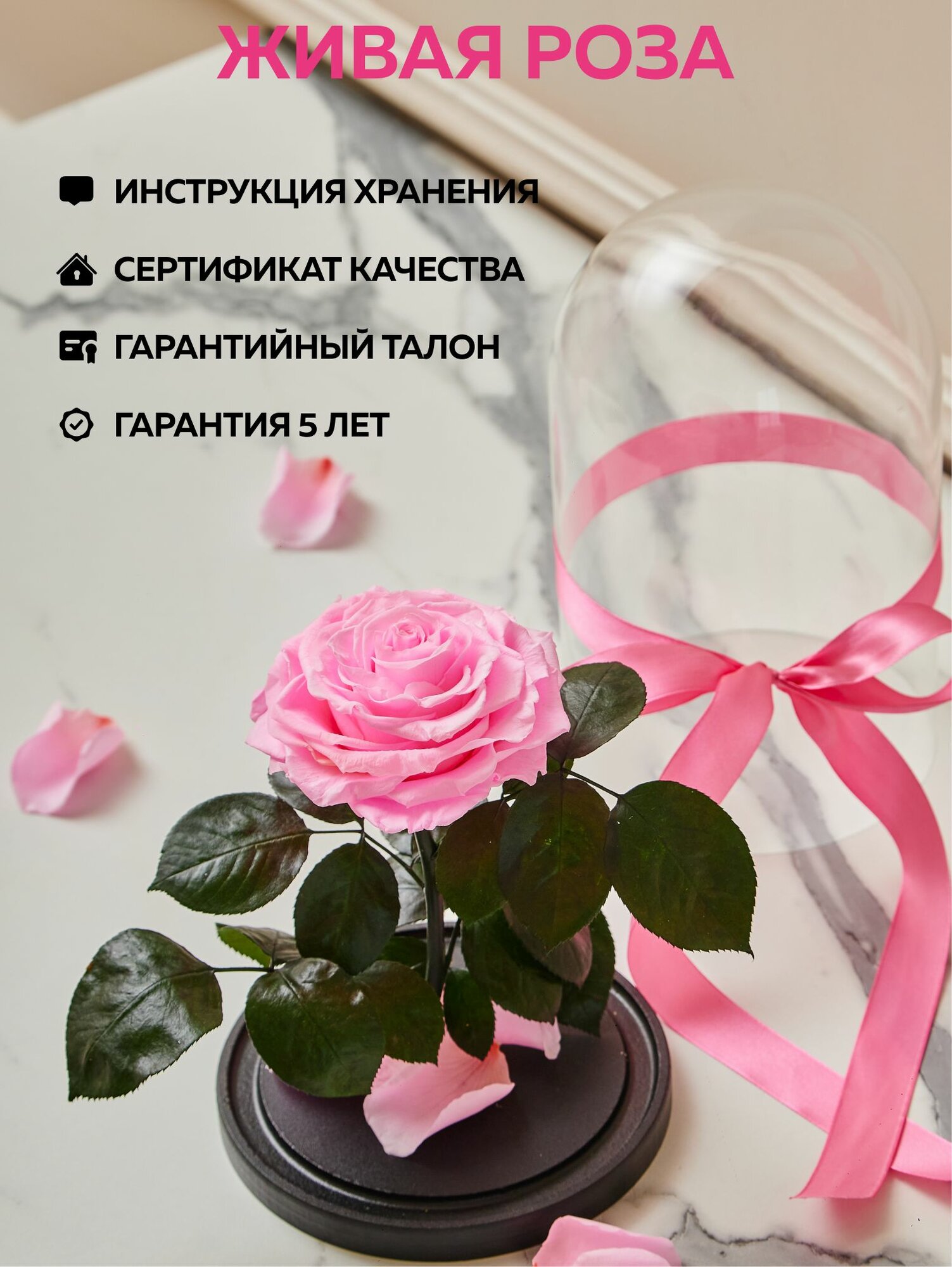 Роза в колбе живая, вечная, стабилизированная "XL" 27см, подарок маме, женщине, на 8 марта , на день рождения, цвет: розовый