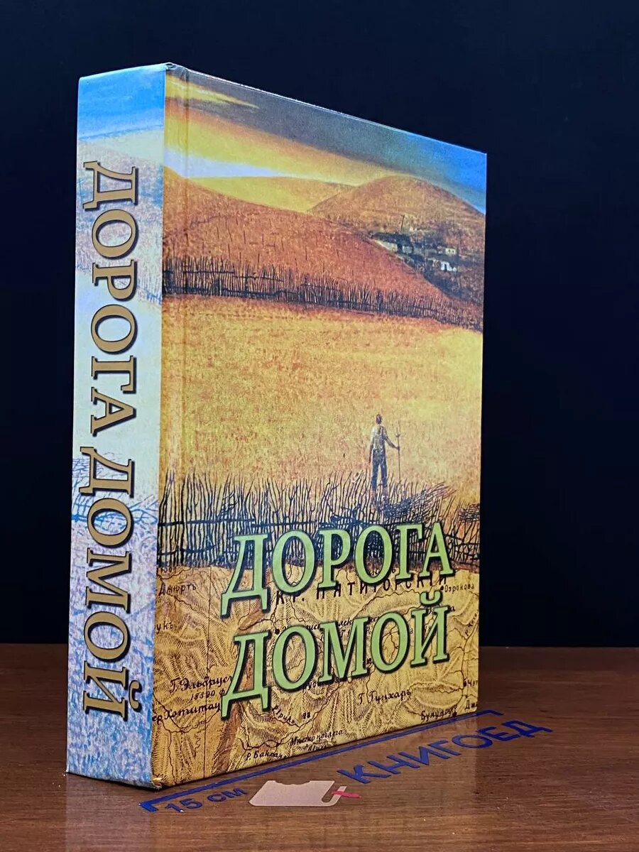 Книга. Дорога домой 2011 (2040770877325)