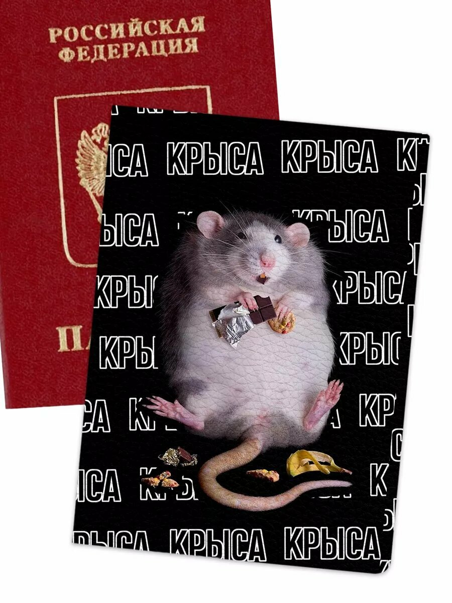 Обложка для паспорта NOOTO