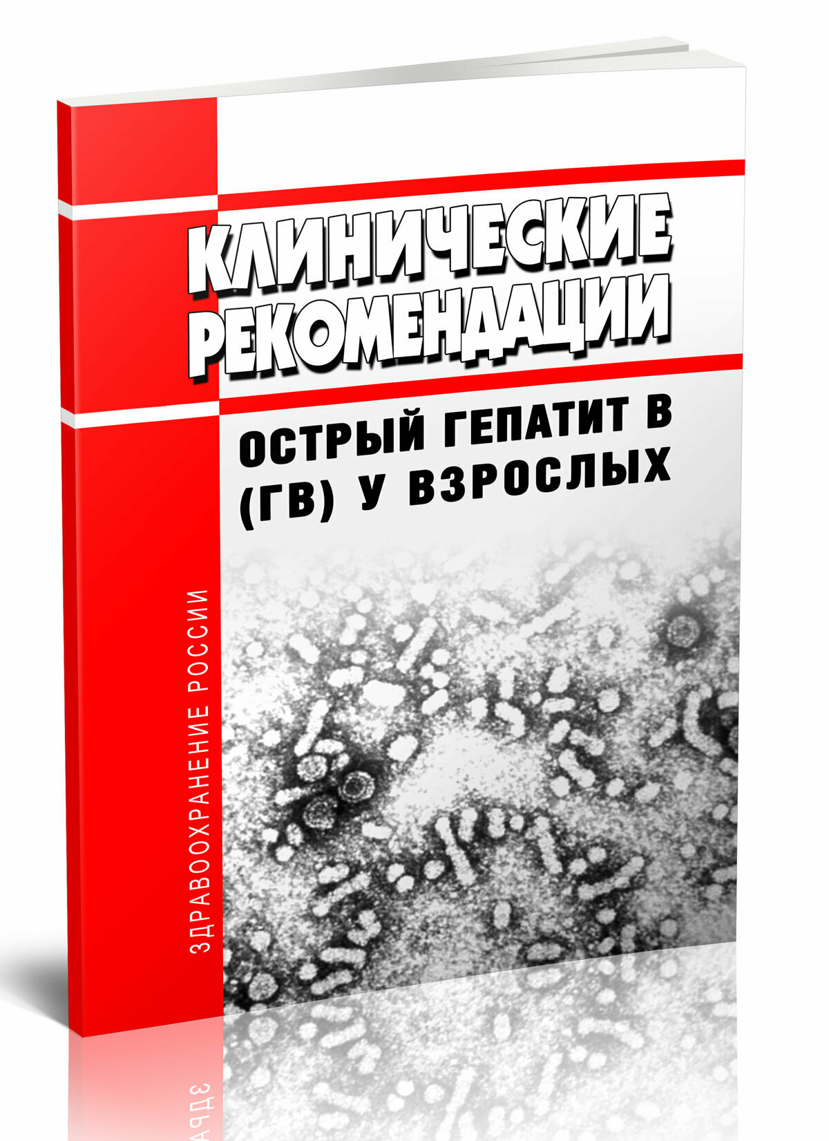 Клинические рекомендации Острый гепатит В (ГВ) у взрослых