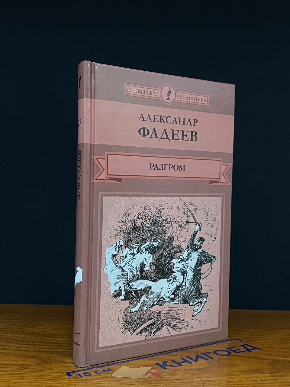 Книга. Разгром 2015 (2042157639137)
