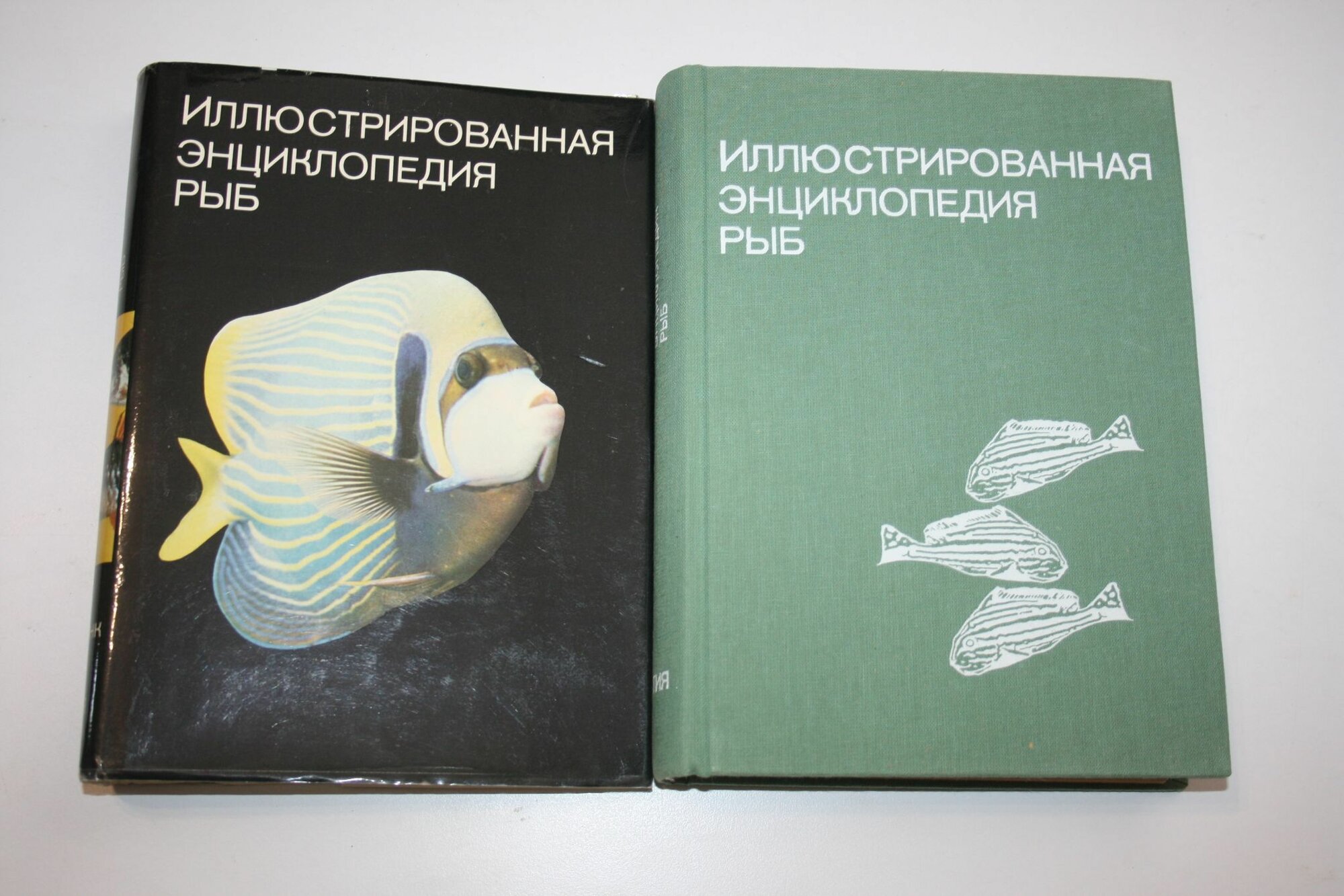 Иллюстрированная энциклопедия рыб