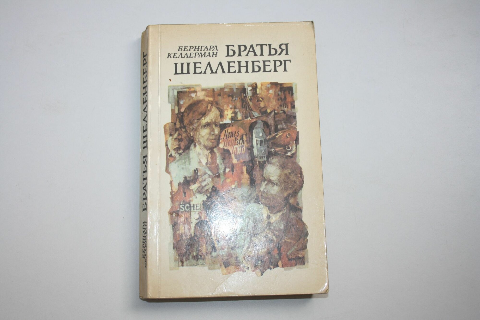 Братья Шелленберг. Роман