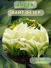 Хоста Вайт Фезер многолетняя, для вертикального озеленения, 1 штука