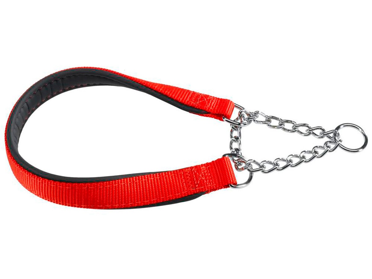 Ошейник удавка для собак Ferplast Daytona CSS20/55 красный (1 шт)