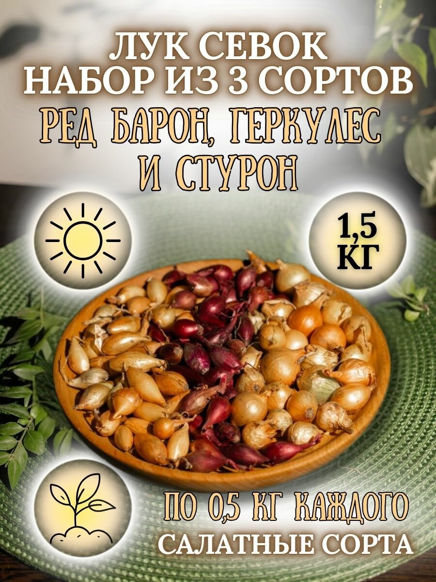 Лук севок набор 3 сорта Стурон, Геркулес, Рэд Барон, каждый сорт по 500 грамм, всего 1.5 кг для посадки, крупный репчатый лук с разных цветов