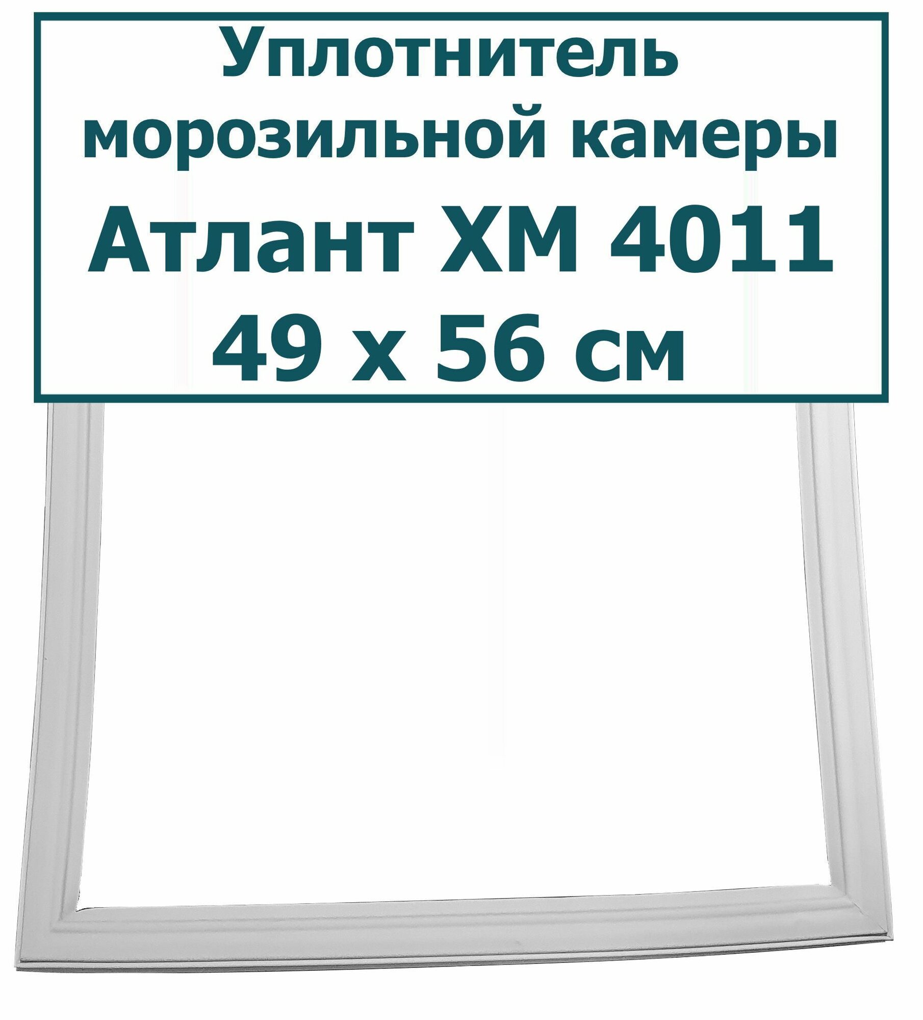 Уплотнитель (резинка) для двери морозильной камеры холодильника Атлант (Atlant) ХМ 4011, 49 x 56 см (490 x 560 мм)
