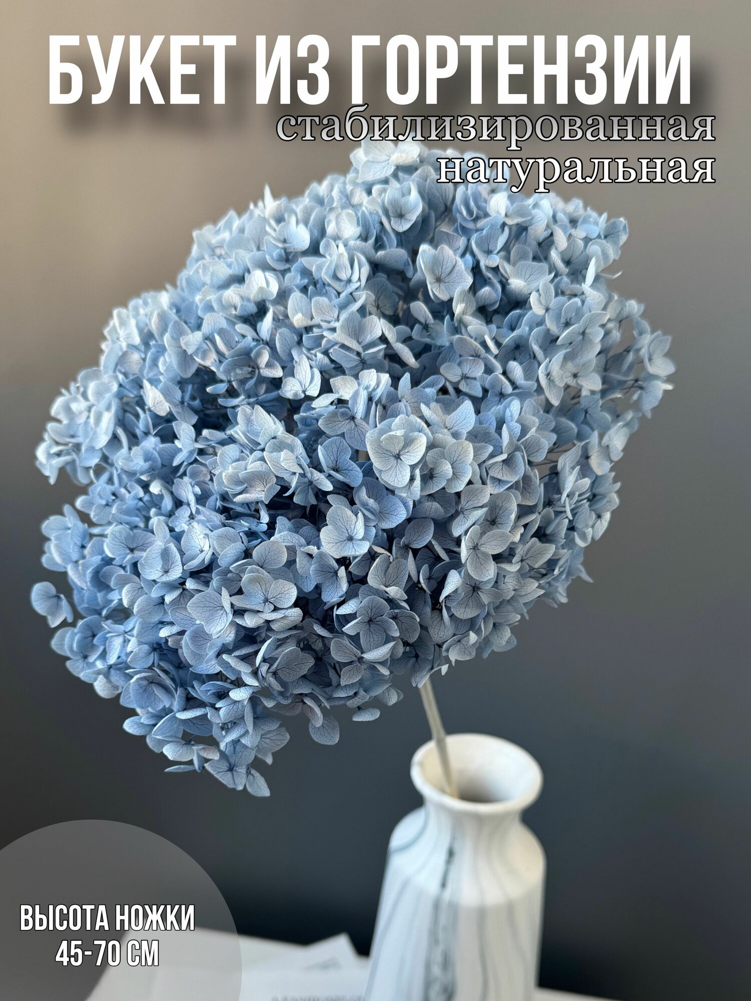 Гортензия стабилизированная сухоцветы для декора
