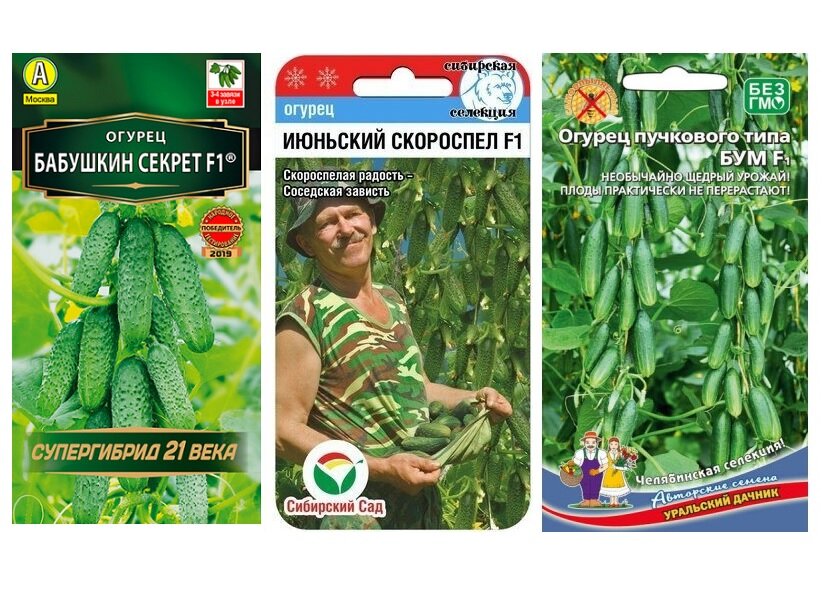 Набор семян огурцов Гости из огорода (Огурец Июньский скороспел, Бум, Бабушкин Секрет)