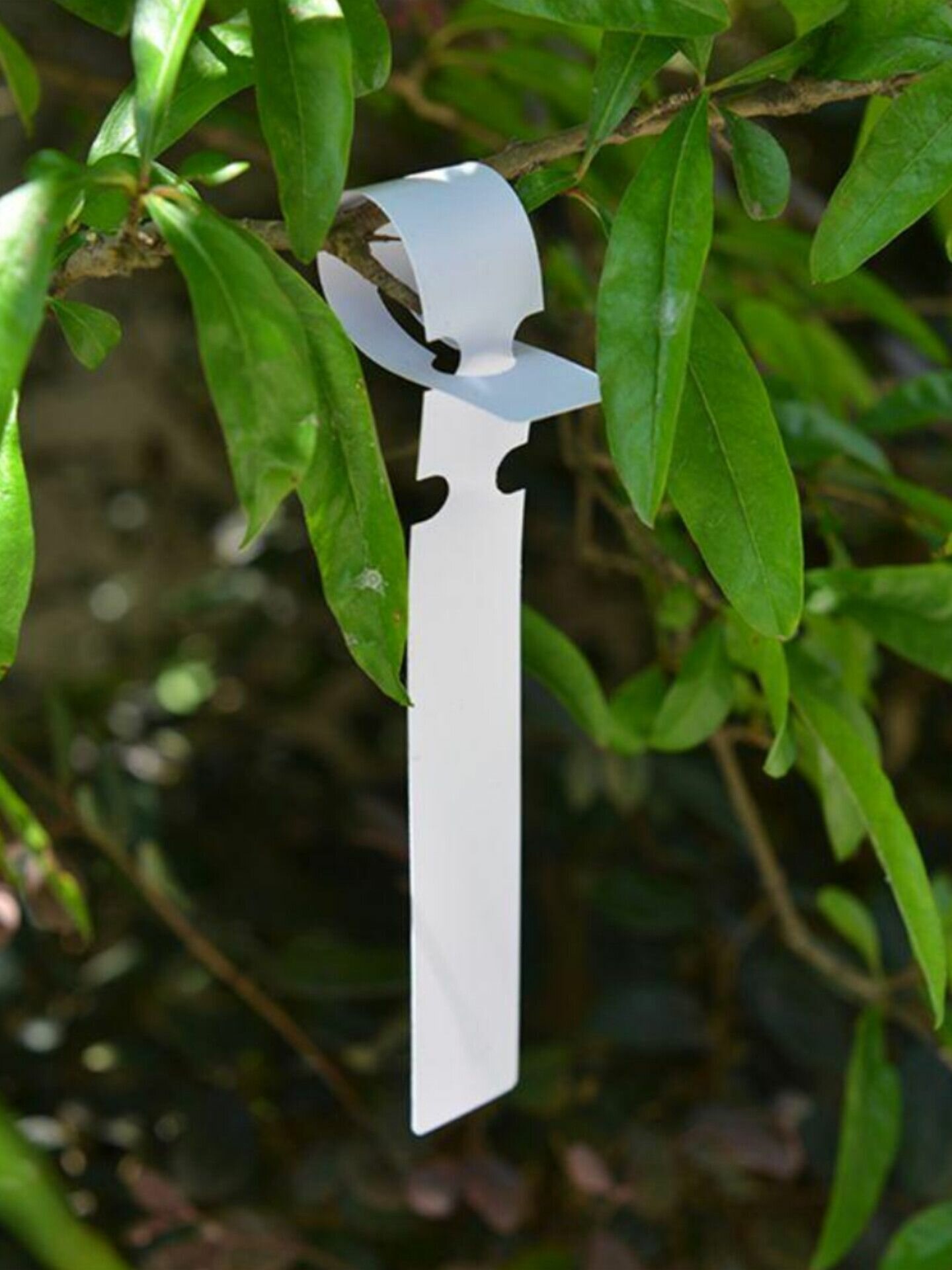 Садовые бирки Петельки 20*165 мм белые 70 шт