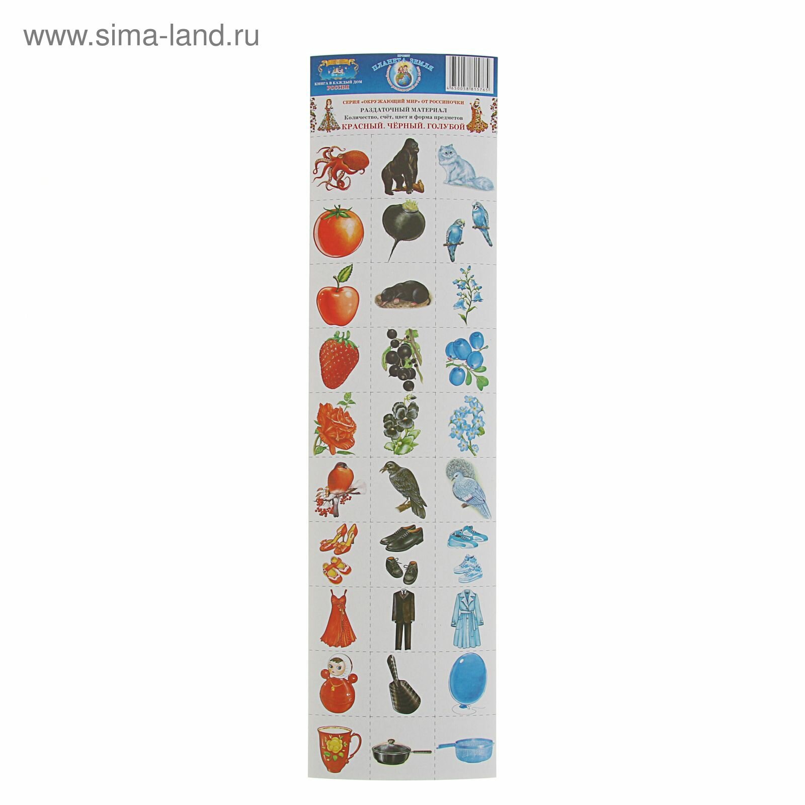 Раздаточный материал Красный Черный Голубой Количество счет цвет и форма Нагл пособие Вохринцева СВ