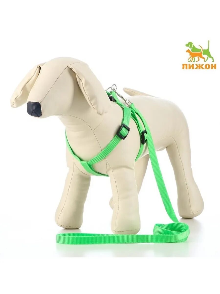 Комплект "Базис", поводок 120 х 1,5 см, шлейка 32-46 х 1,5 с