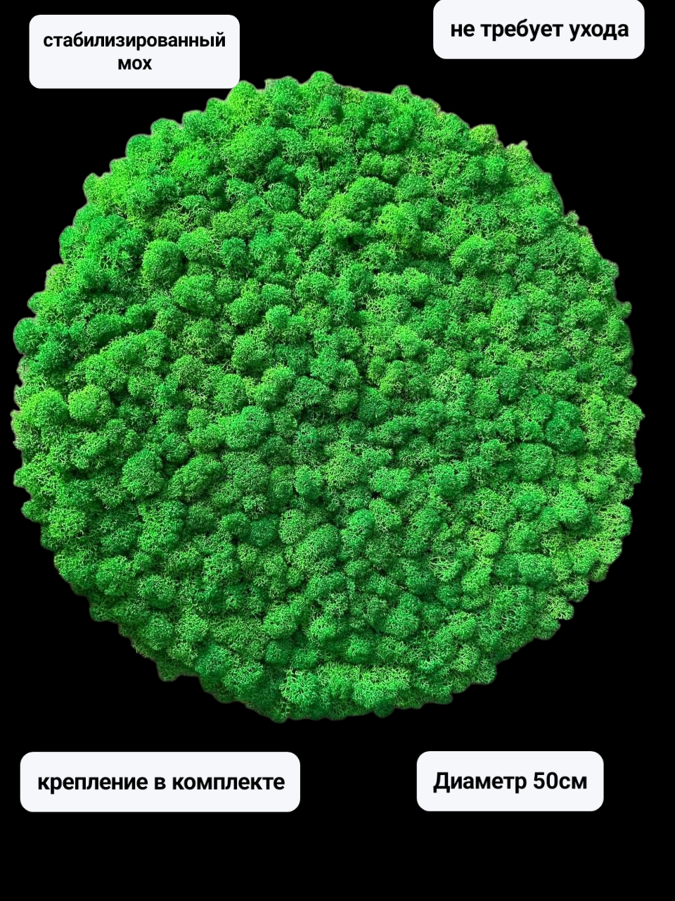 Пано диаметром 50см из стабилизированного мха ручной работы для декора и интерьера любых помещений