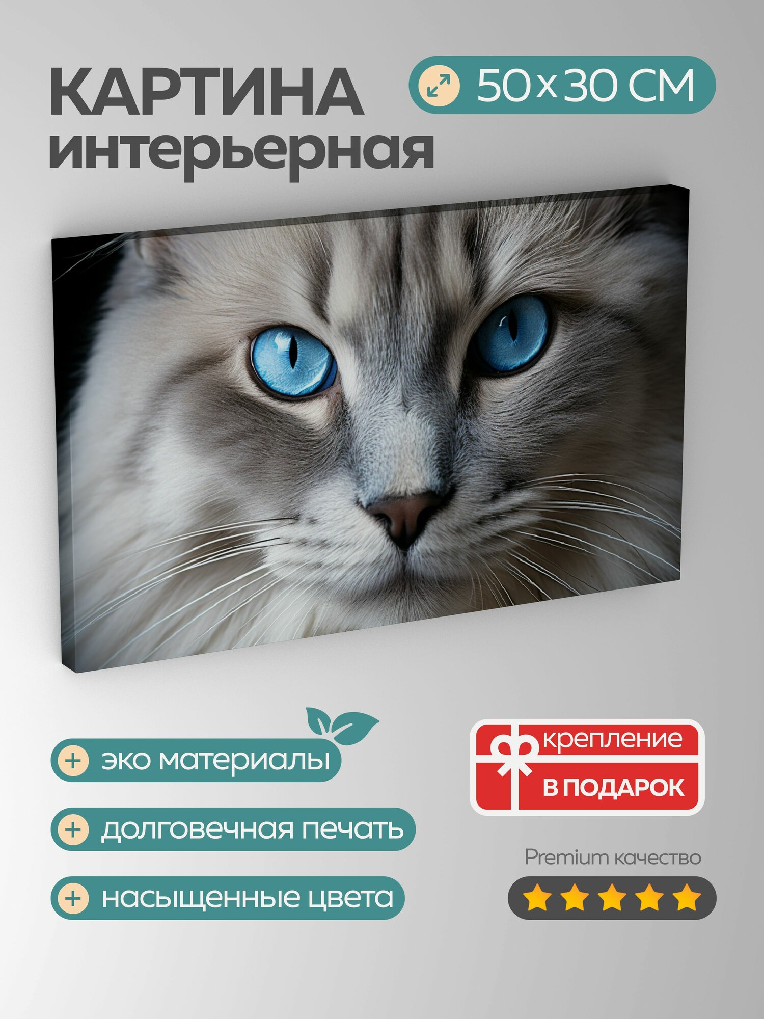 Картина на холсте интерьерная 50х30 см, фотография, кошка, голубоглазая, взгляд, монохромный фон, интенсивность
