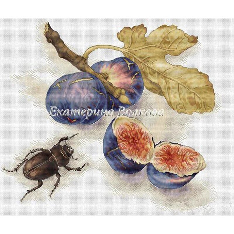 Набор для вышивки крестом "Инжир и жук", 16CT canvas, цвет B