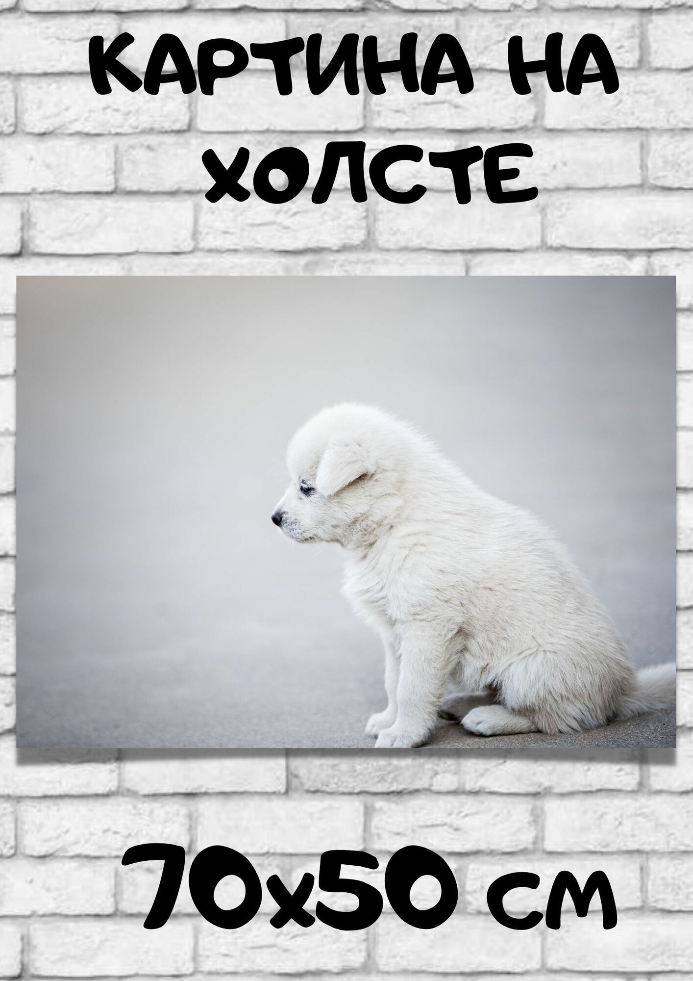 Картина с красивой собакой / Фотокартина для интерьера с псом