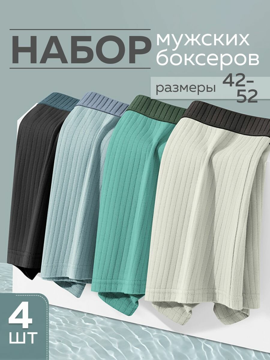 Komplekt trusov boksery 4 sht
