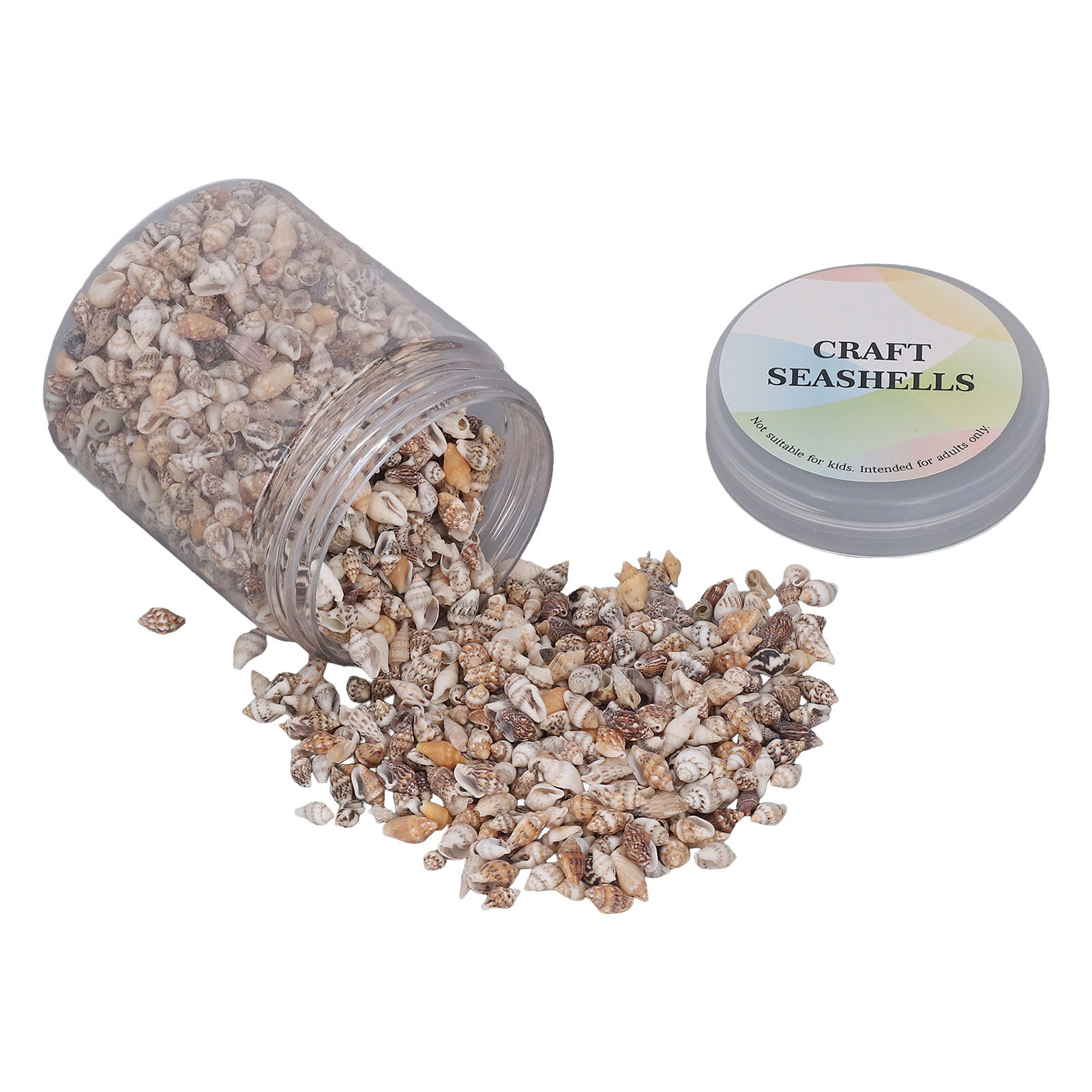 1 банка крошечных морских ракушек, непористые натуральные спиральные ракушки, раковина для DIY аквариума, ландшафтный дизайн, украшение для бутылки с дрейфом