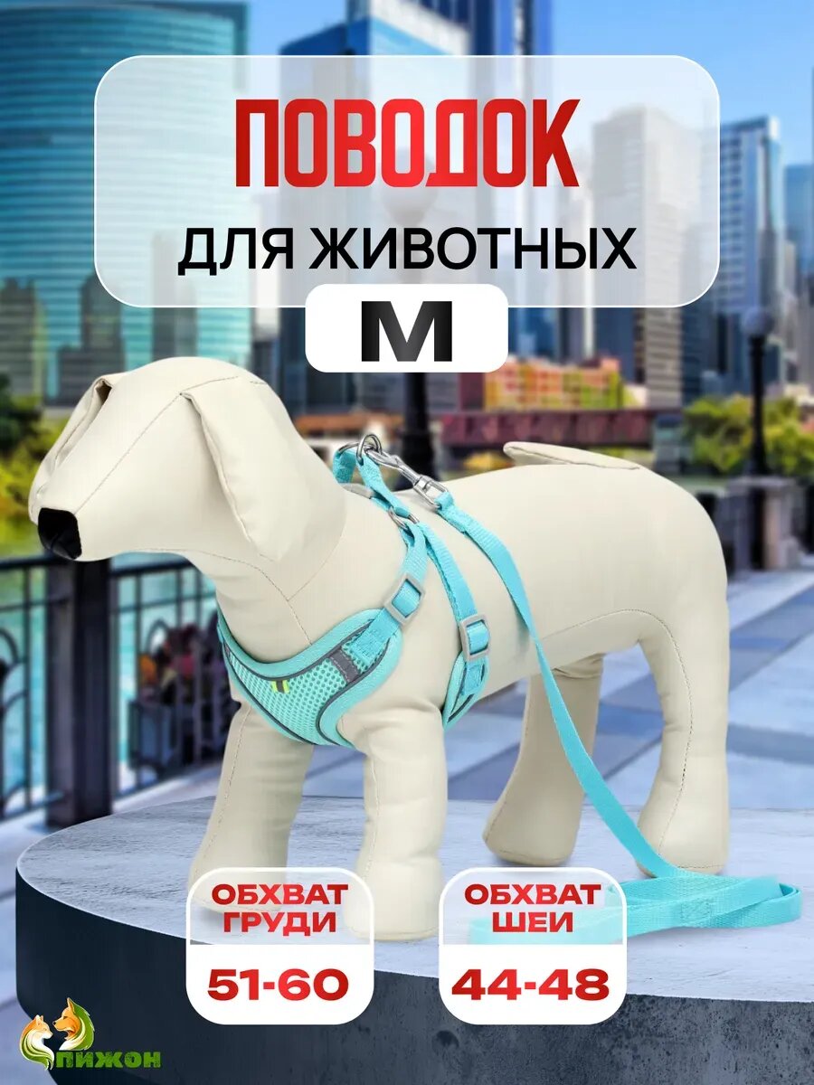 Шлейка для собак мелких пород и кошек с поводком