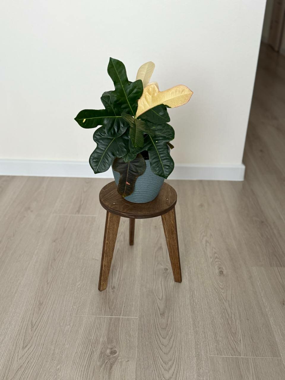 Подставка под цветы напольная дерево цвет коричневый ротанг 3 ножки