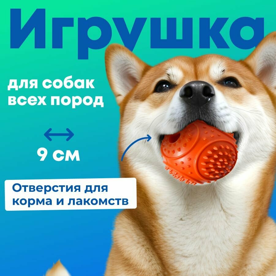 Игрушка для собак всех пород Морской ёж