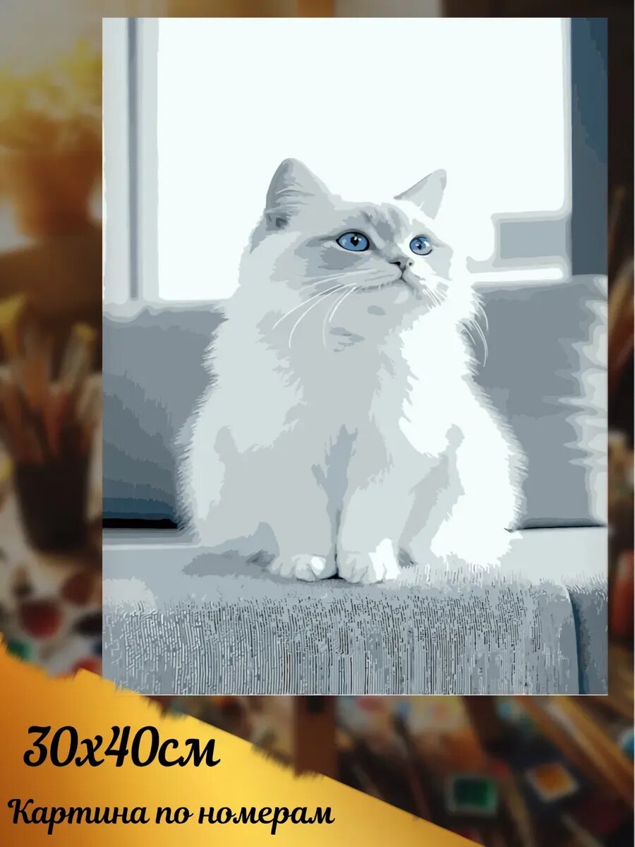 Картина по номерам белый котик