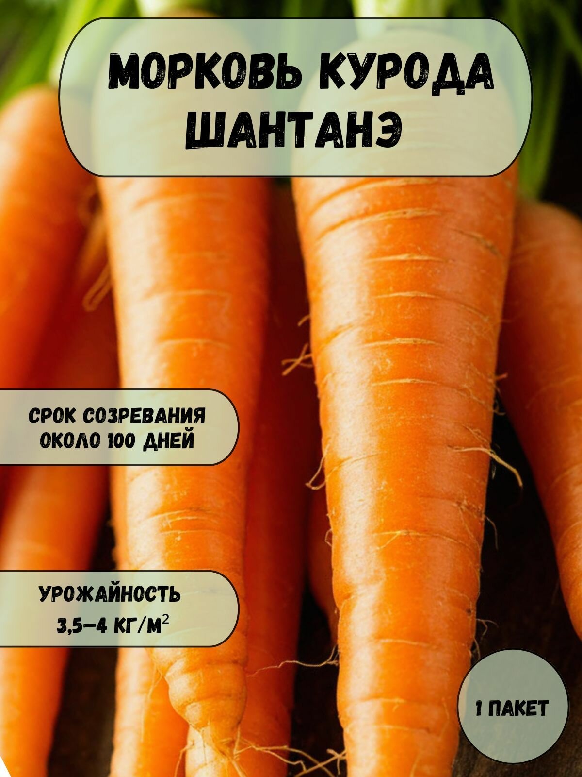 Морковь Курода Шантанэ семена 10 шт